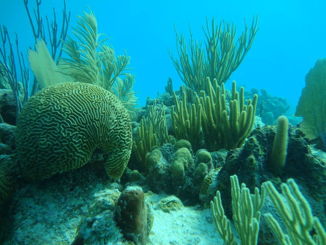 Mahahual, el tesoro de la Costa Maya