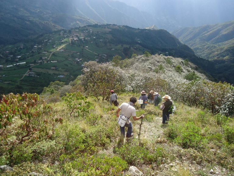5 Centros Ecoturísticos Indígenas en México para una Gran Aventura