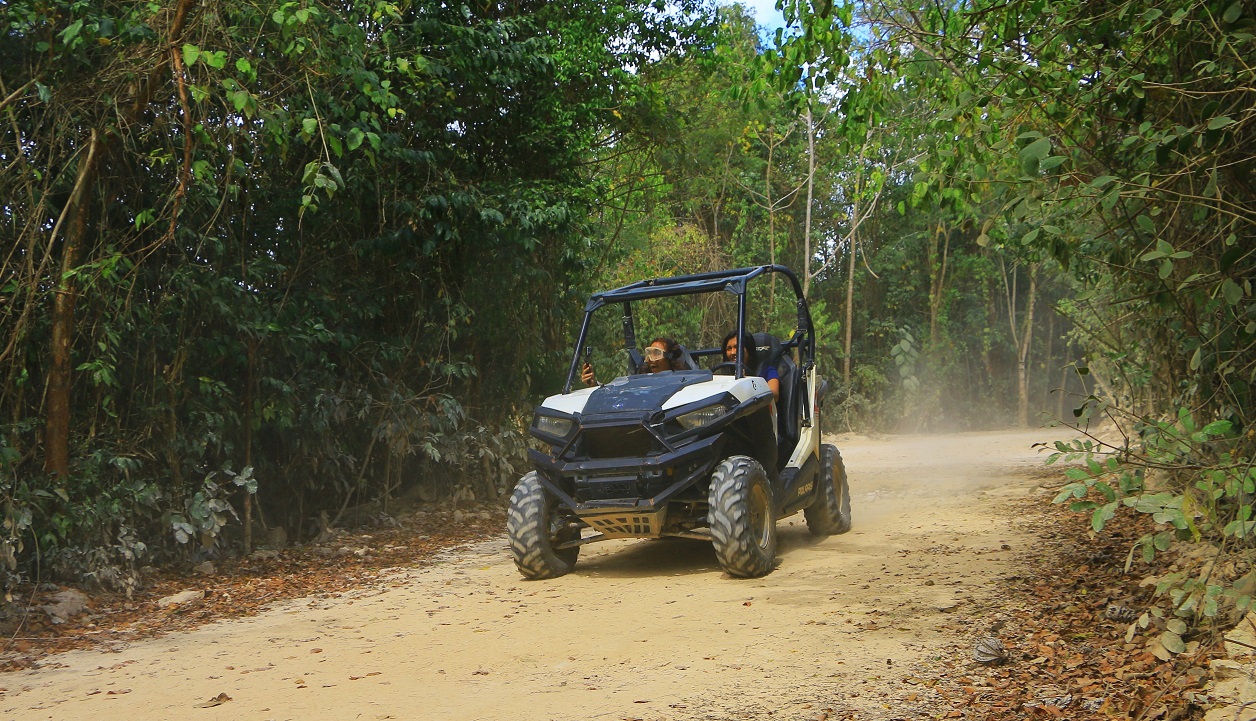 ¡A la Velocidad de Selvática! Tirolesas y Aventura en la Riviera Maya